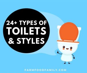 24+ Different Types Of Toilets, Styles, Flush Systems (Buying Guide)