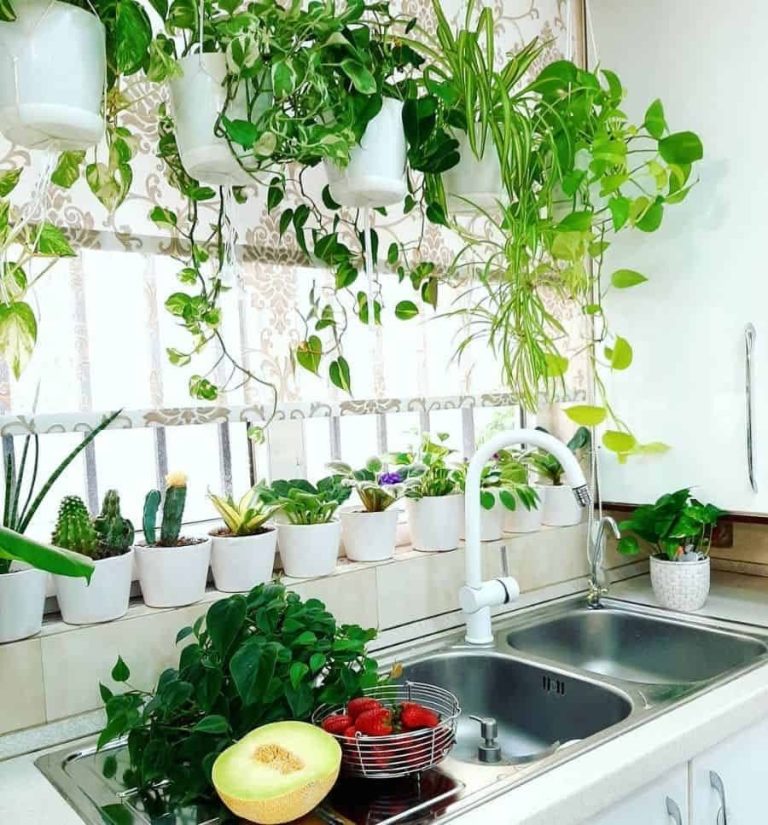 35+ Best Kitchen Window Decor Ideas and Designs (With Pictures)