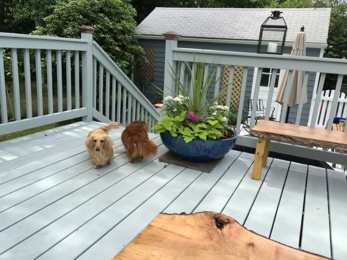 65+ Best Deck Color Ideas and Designs For 2024 (With Pictures)