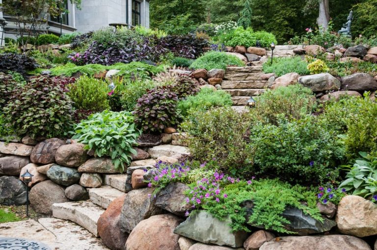 35+ Beautiful Rock Garden Ideas and Designs (With Pictures)