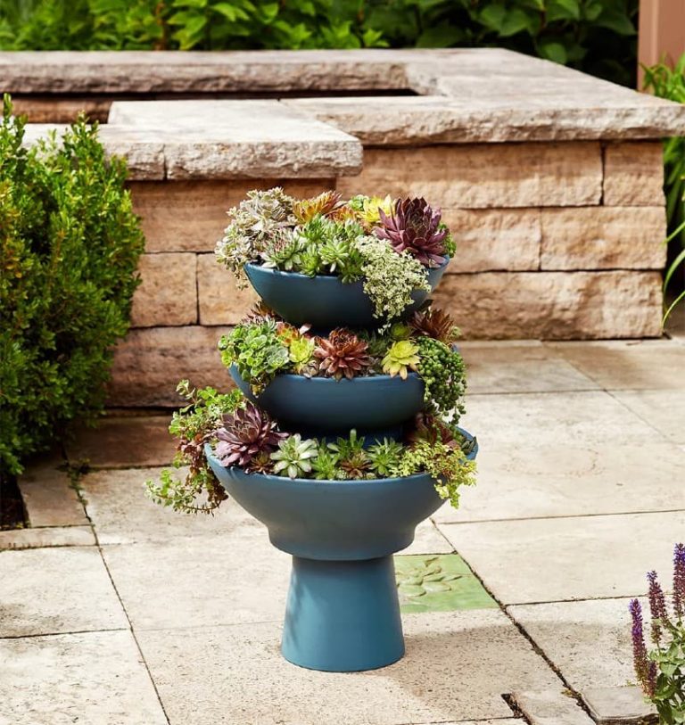 57+ Best Succulent Garden Ideas and Designs With Tutorials (PICTURES)