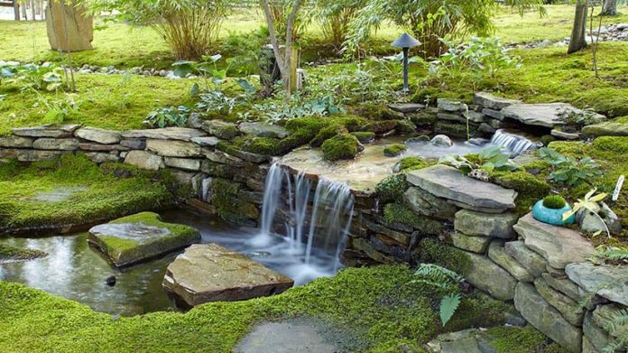 35+ Beautiful Rock Garden Ideas and Designs (With Pictures)