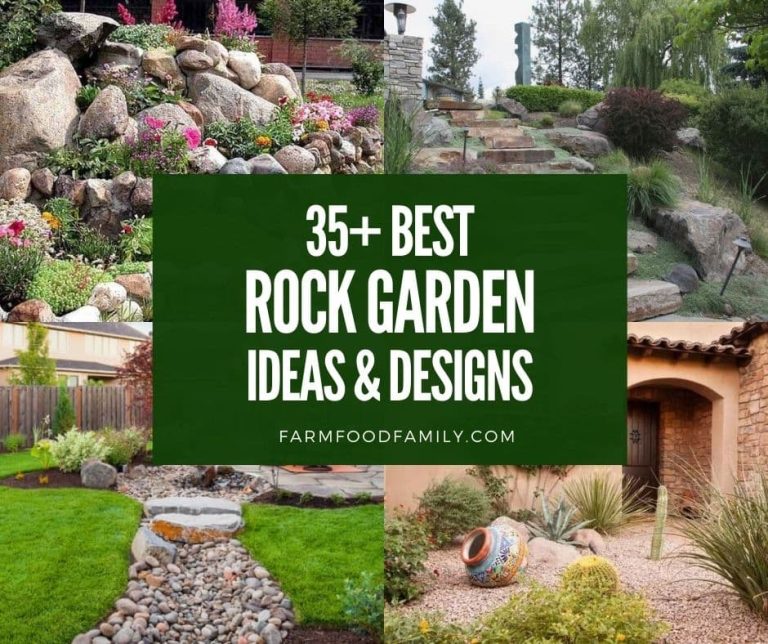 35+ Beautiful Rock Garden Ideas and Designs (With Pictures)