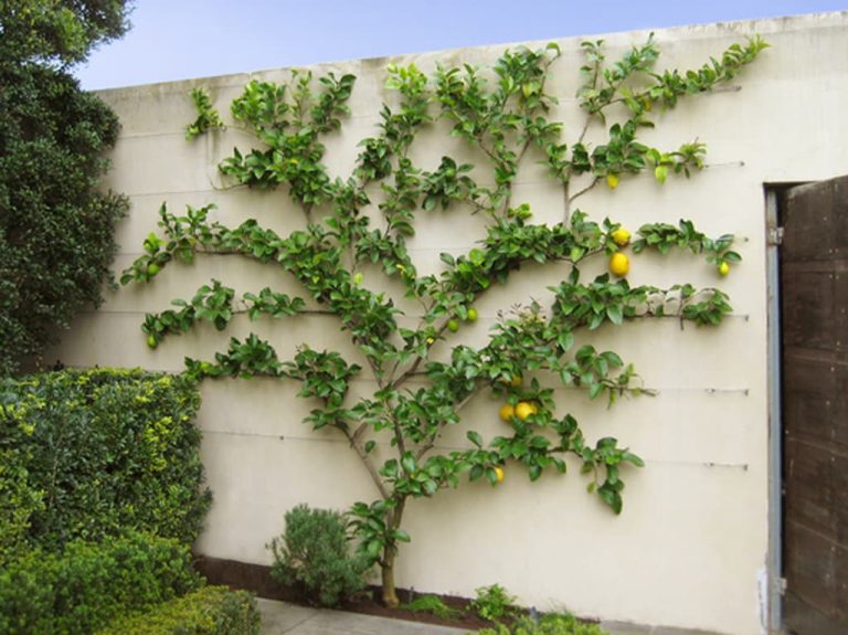 145+ Awesome Garden Retaining Wall Ideas & Designs (With Photos)