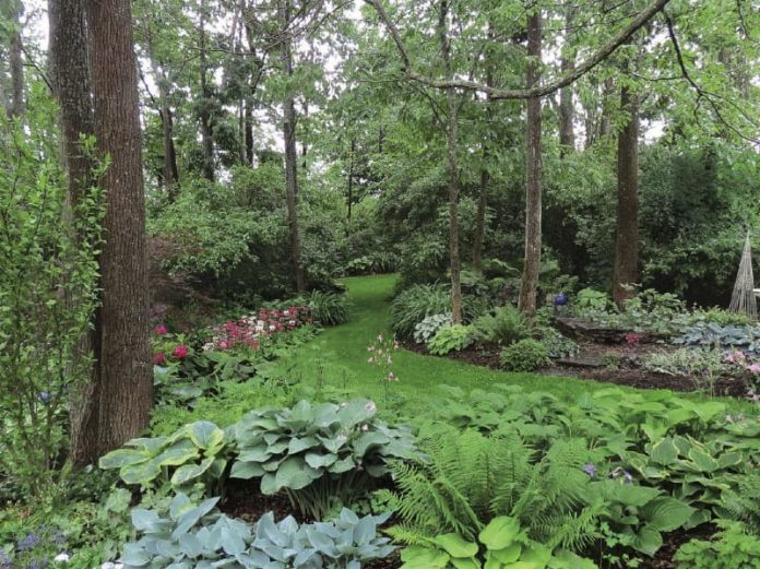 35+ Beautiful Shade Garden Ideas and Designs (Photos)