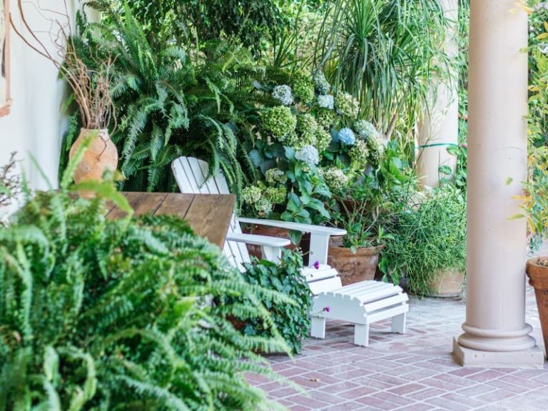 35+ Best Corner Garden Ideas and Designs (With Pictures)