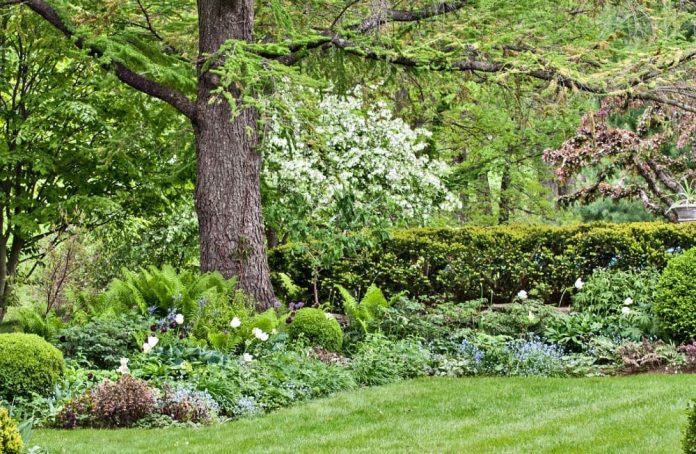 35+ Beautiful Shade Garden Ideas and Designs (Photos)