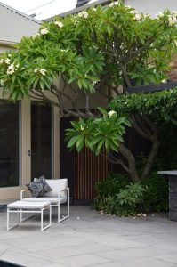 35+ Best Corner Garden Ideas and Designs (With Pictures)