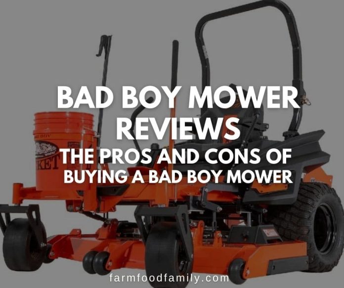 Bad Boy Mower Reviews The Pros And Cons Of Buying A Bad Boy Mower