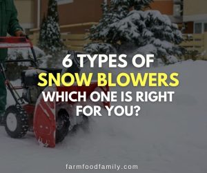 6 Different Types of Snow Blowers: Which One is Right for You?