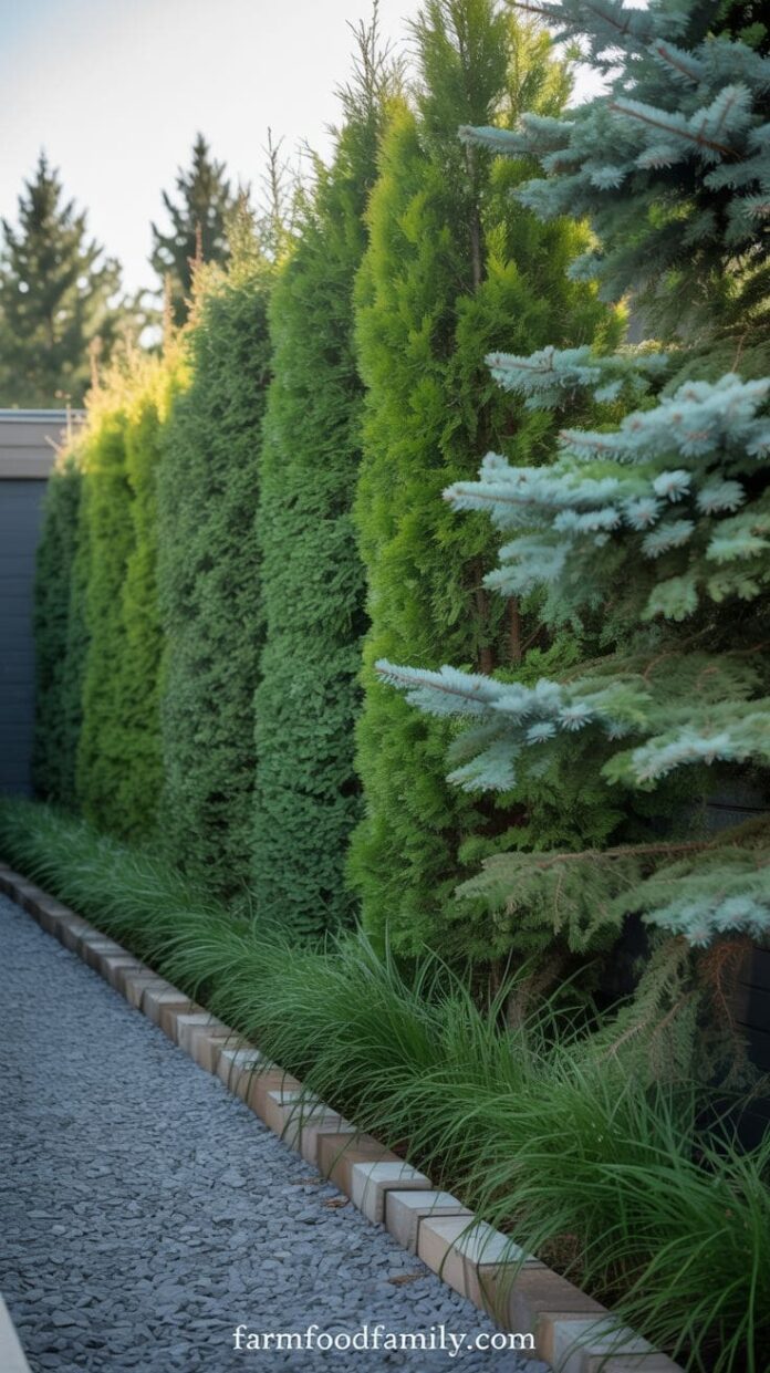 12 Stunning Colorado Backyard Landscaping Ideas and Designs (Photos)