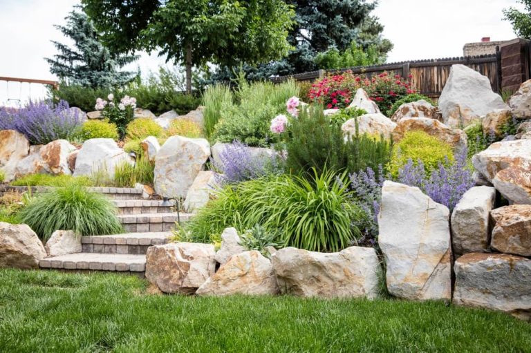 7 Stunning Colorado Backyard Landscaping Ideas and Designs (Photos)