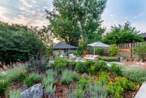 7 Stunning Colorado Backyard Landscaping Ideas and Designs (Photos)