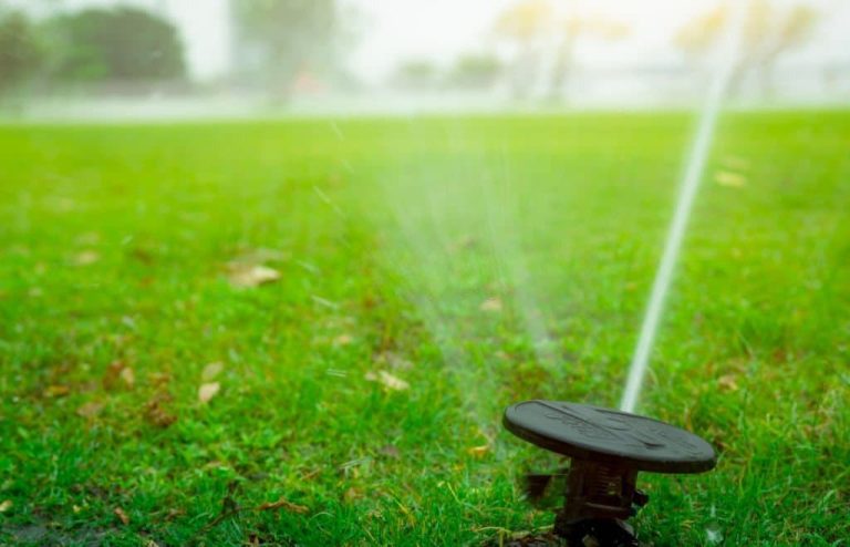 27 Types of Sprinkler Heads and Sprinklers: Which One Is Right for You?