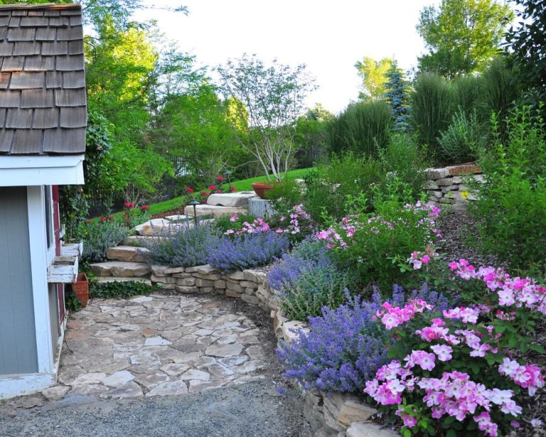7 Stunning Colorado Backyard Landscaping Ideas and Designs (Photos)