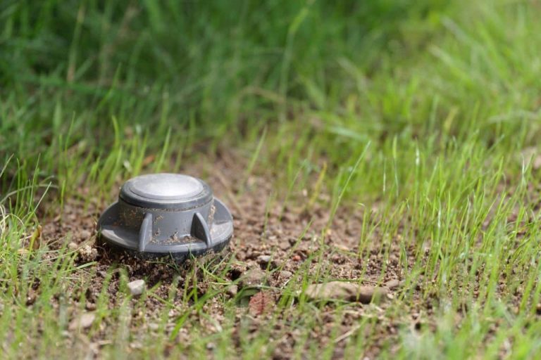27 Types of Sprinkler Heads and Sprinklers: Which One Is Right for You?