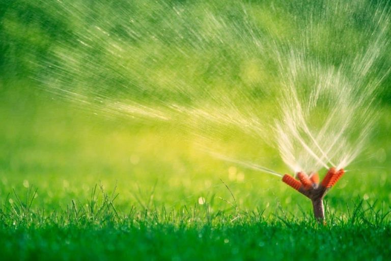 27 Types of Sprinkler Heads and Sprinklers: Which One Is Right for You?