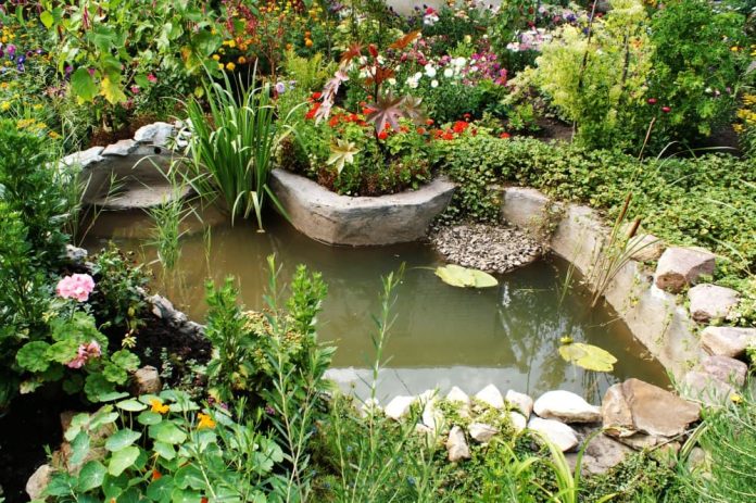 10 Jaw-Dropping Georgia Landscaping Ideas to Inspire You (Pictures)