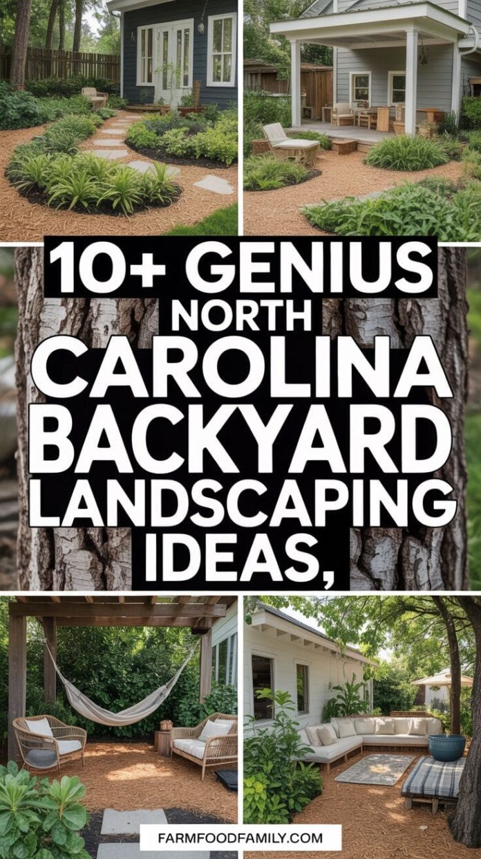 10 Stunning North Carolina Landscaping Ideas and Designs for Your Home