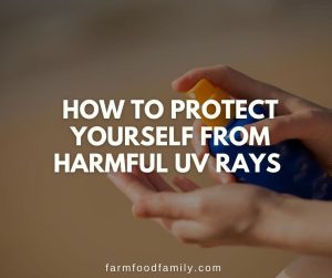 How To Protect Yourself From Harmful UV Rays - FarmFoodFamily