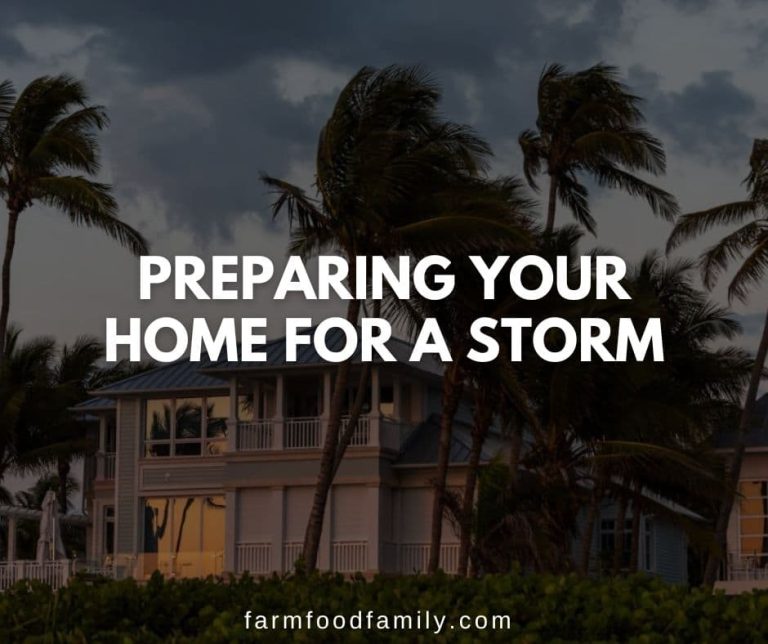 How To Prepare Your Home For a Storm
