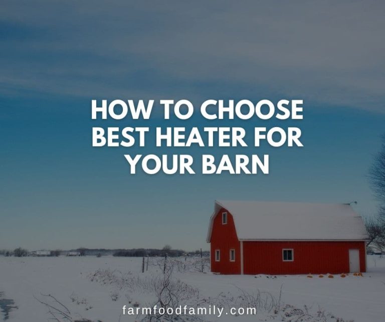 How To Choose Best Heater For Your Barn - FarmFoodFamily