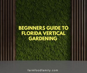 Beginners Guide to Florida Vertical Gardening - FarmFoodFamily