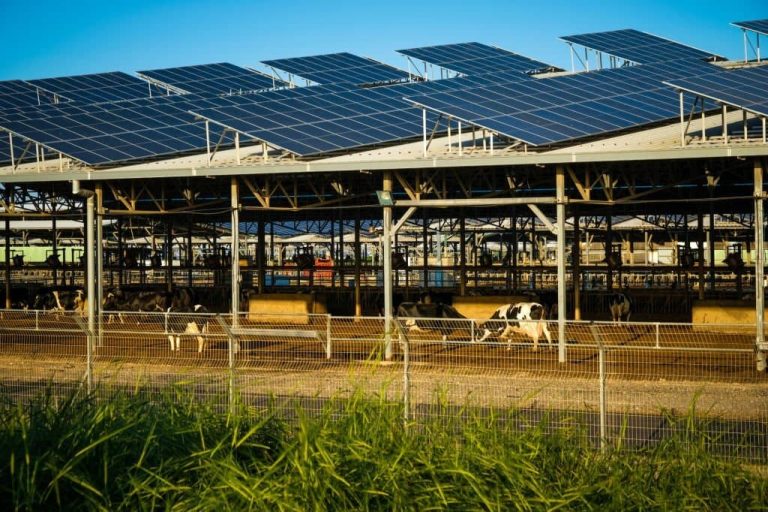 A Guide to Agricultural Solar PV Panels - FarmFoodFamily