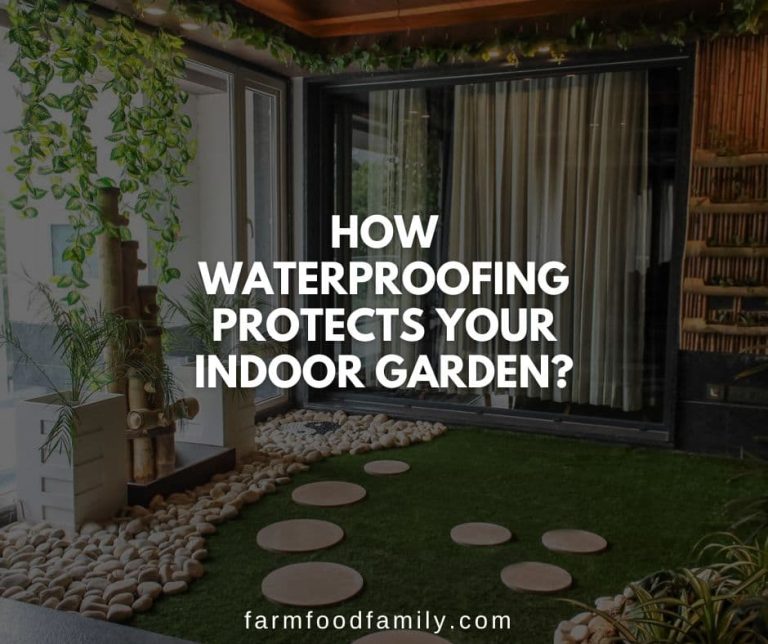 How Waterproofing Protects Your Indoor Garden?
