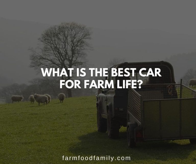 What is the Best Car for Farm Life? - FarmFoodFamily