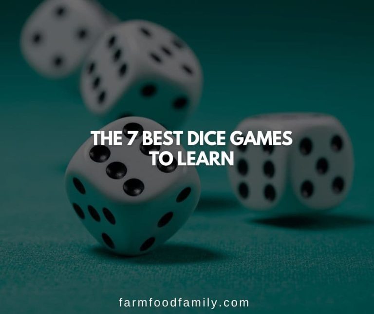 The 7 Best Dice Games to Learn in 2024