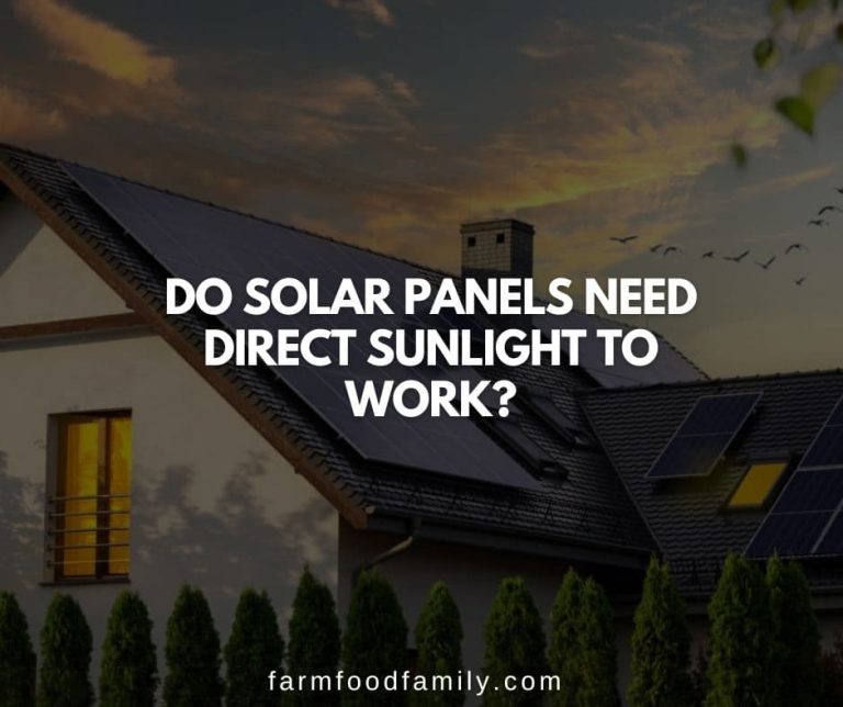 Do Solar Panels Need Direct Sunlight to Work? - FarmFoodFamily