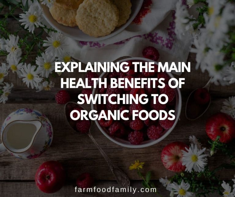 Explaining The Main Health Benefits Of Switching To Organic Foods