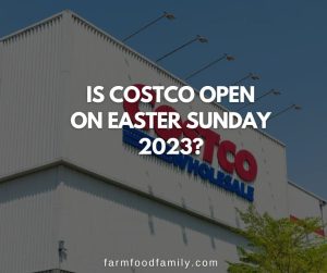 Is Costco Open for Easter Sunday? Costco Easter Hours 2023