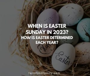 When is Easter Sunday in 2023? How is Easter Determined?