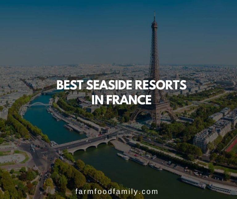 The 5 Best Seaside Resorts in France - FarmFoodFamily
