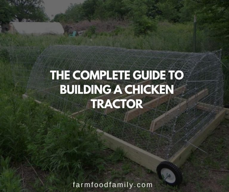 The Complete Guide to Building a Chicken Tractor - FarmFoodFamily