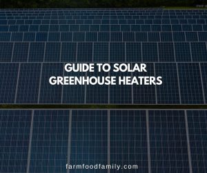 Guide to Solar Greenhouse Heaters: Types, Pros and Cons