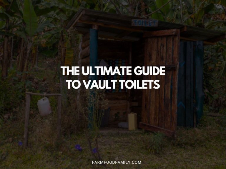 The Ultimate Guide to Vault Toilets: What You Need to Know
