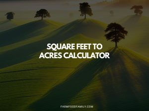 Square Feet to Acres (ft² to ac) Calculator: How To Easily Convert