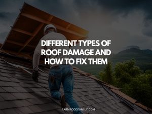 The Different Types of Roof Damage and How to Fix Them