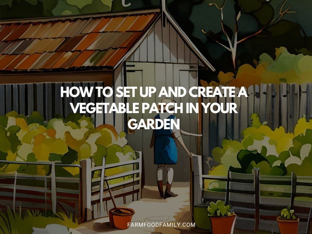 How To Set Up And Create A Vegetable Patch In Your Garden
