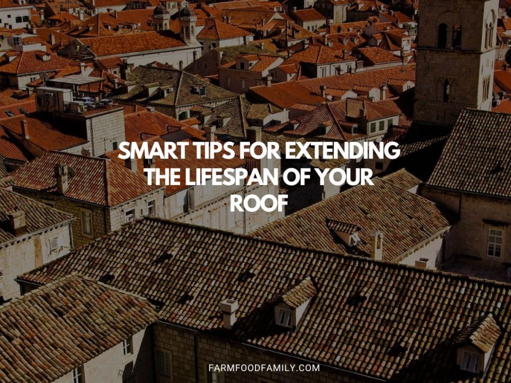 The Art of Roof Maintenance: Smart Tips for Extending the Lifespan of ...