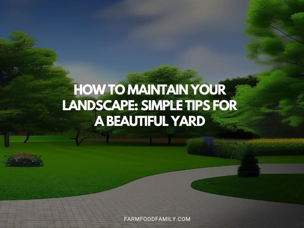 How to Maintain Your Landscape: Simple Tips for a Beautiful Yard