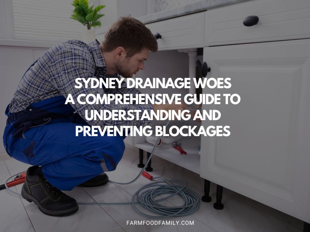 Sydney Drainage Woes: A Comprehensive Guide to Understanding and ...