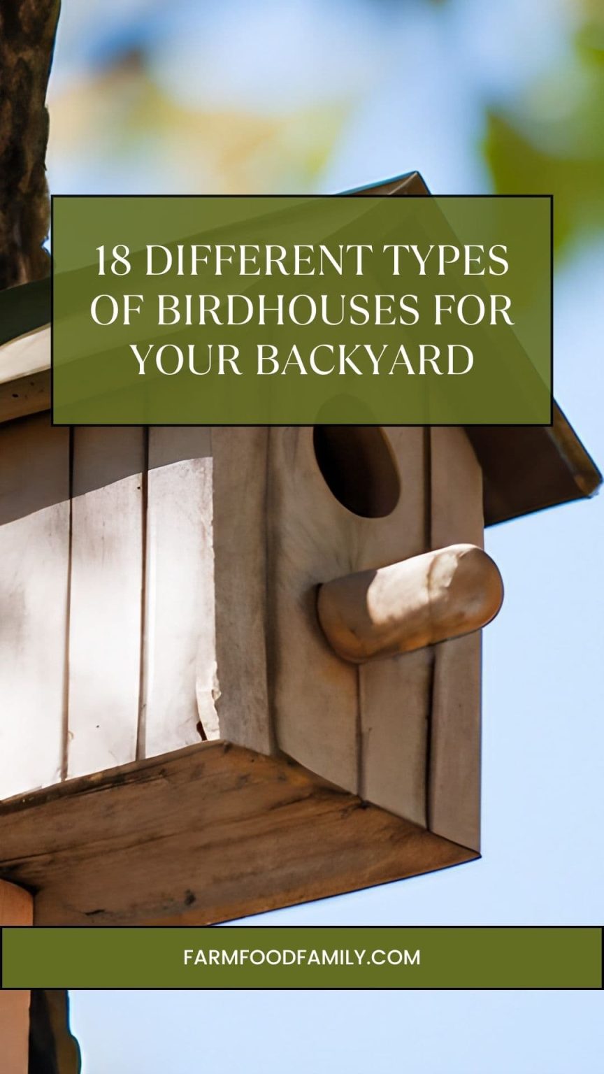 18 Different Types of Birdhouses For Your Backyard (With Pictures)