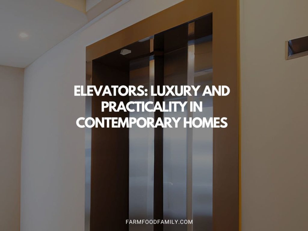 Elevators: Luxury and Practicality in Contemporary Homes