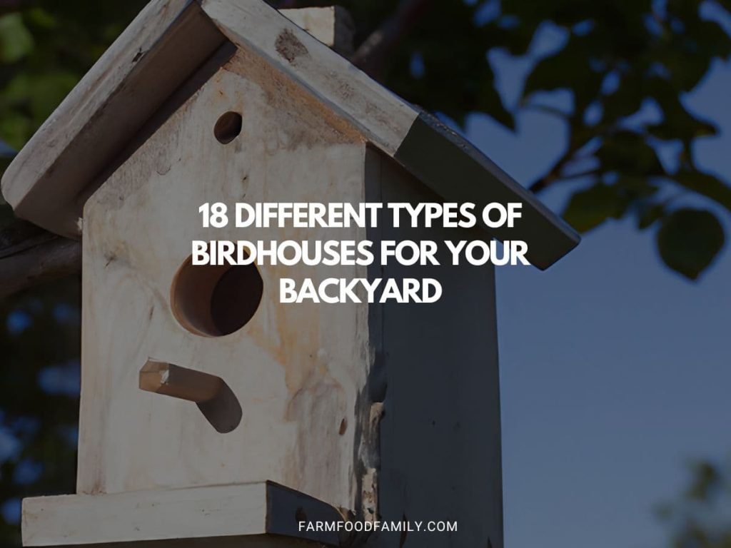 18 Different Types of Birdhouses For Your Backyard (With Pictures)