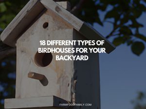 18 Different Types of Birdhouses For Your Backyard (With Pictures)