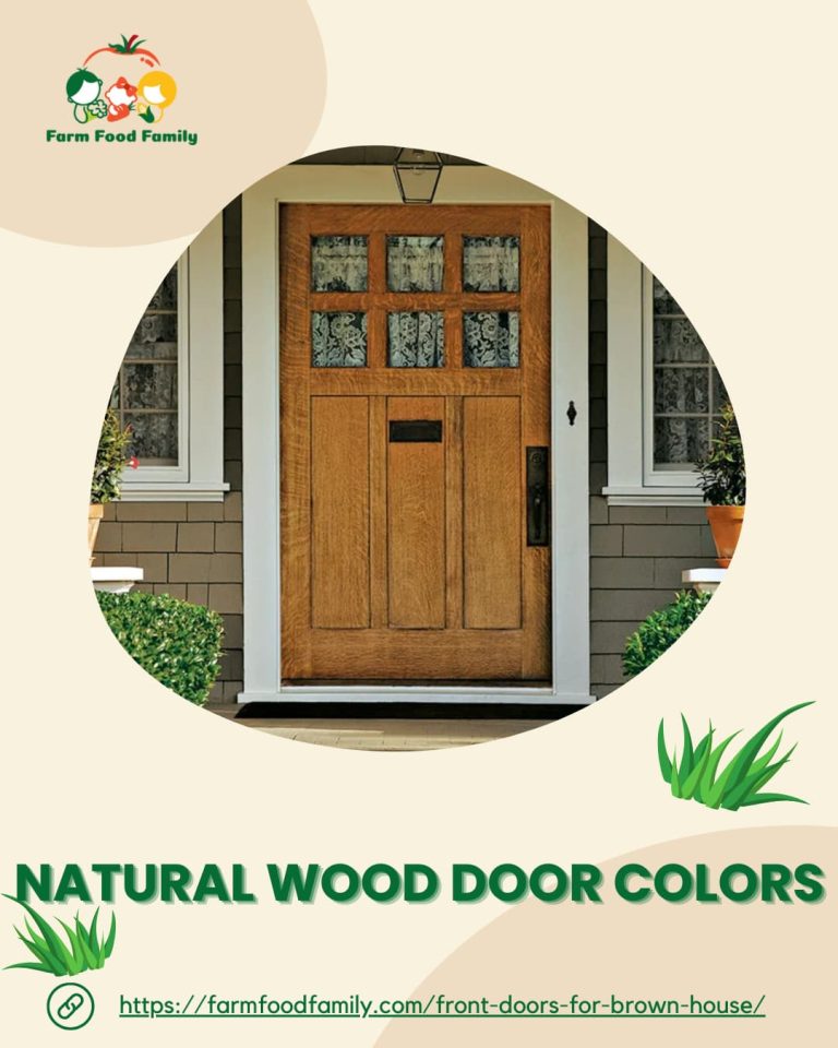 35+ Bold Front Door Colors for Brown Houses That Wow Your Neighbors 2024